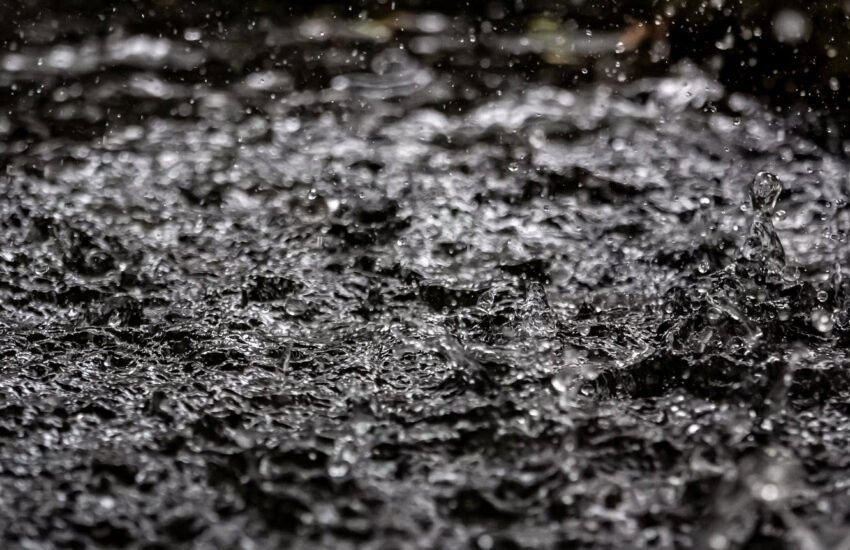 Three Steps for Taking a Soil Test - Home Hyme